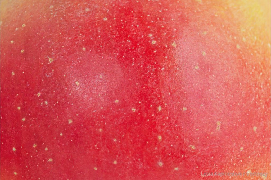 Red Communion – Flame's Crucible